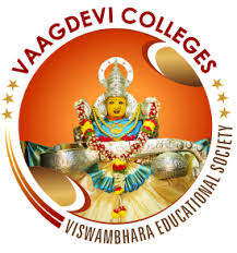 vegaahi IT Pvt LTD